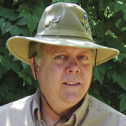 David Rankin - Our Fine Art Gallery